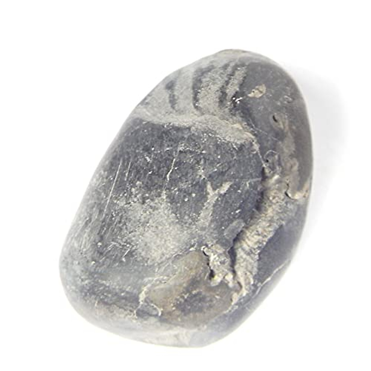 phoenix888 Sacred Adwaitya Achharya Shaligram Nepal Kali Gandaki