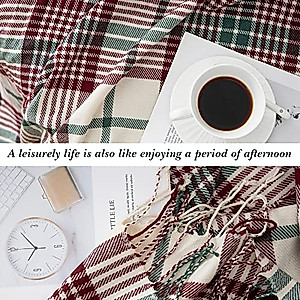 Geehouz Decorative Plaid Blanket Soft Christmas Sage Green Faux Cashmere Throw Blankets with Tassels for Halloween Farmhouse Home Decor 50" x 60" (Sage Green Plaid)