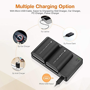 LP-E6NH High Capacity Batteries Pack (2950mAh) and Dual Battery Charger for LP-E6NH Battery for 90D, 80D, 70D, 60D, 60Da, 7D, 7D Mark II, 6D, 6D II, 5D IV, R, R5, R6 Cameras