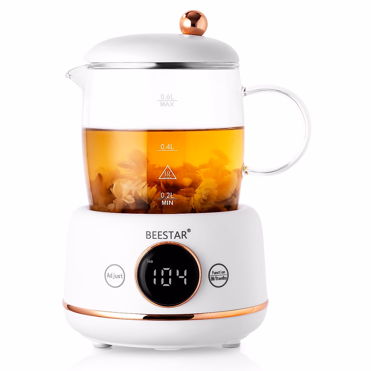BEESTAR Small Electric Kettle with Automatic Heat Preservation,Glass Portable Kettle Temperature Control,6 Preset Programs,High Borosilicate Glass,0.6 Liter Capacity for Your Office or Kitchen