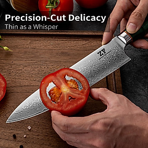 ZF 8 Inch Damascus Kitchen Chef Knife Professional Japanese VG10 Super Steel 67 Layers Santoku Knife Cooking Knife Utility Knife for Meat Vegetable Fruit (YE008)