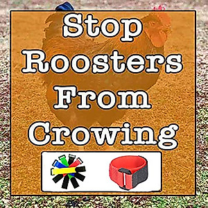 6 Pack No Crow Rooster Collar, Crow Collar Rooster Collar No Crow Noise Neck Belt for Roosters Cockerel Velcro Nylon Prevent Chickens from Screaming, Disturbing Neighbors1