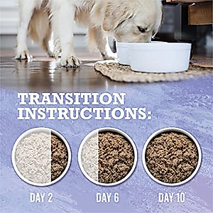 Purina Beyond High Protein, Grain Free, Natural Pate Wet Dog Food, WILD Turkey, Liver & Duck Recipe - (12) 13 oz. Cans