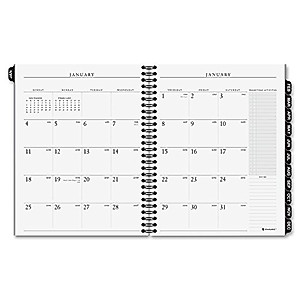 At-A-Glance 70-908-10 Executive weekly/monthly planner appointment section refill, 6-7/8 x 8-3/4