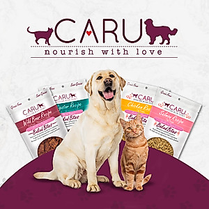 CARU - Soft ‘n Tasty Baked Bites - Chicken Bites Cat Treats - Flavorful All-Natural Treats - 3 oz.