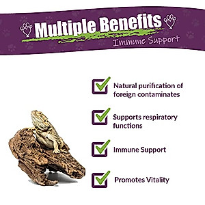 AMBER NATURALZ - REPTAID - Immune Support - for Reptiles Under 250g - 1 Ounce