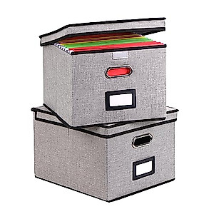 EOOUT File Organizer Box, 1pcs with Lid, Hanging File Folders, Letter Size, Foldable Document Organizer, Home Office, Gray