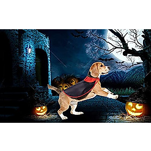 LKEX Halloween Large Dog Costume, Pet Bat Wings & Vampire Cloak, 2 Pack, Dog Funny Holiday Clothes for Bloody Zombie Cosplay Party