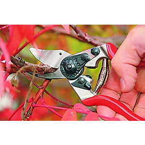 Felco Pruning Shears (F 6) - High Performance Swiss Made One-Hand Garden Pruners - 100052385
