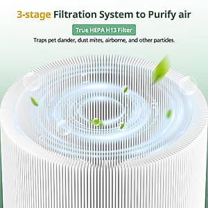2 Pack 411i Max and 411a Max Replacement Filter,True HEPA H13 Filter, Compatible with Blue Pure 411i Max and 411a Max Air Purifier, Blueair Blue Pure F4MAX
