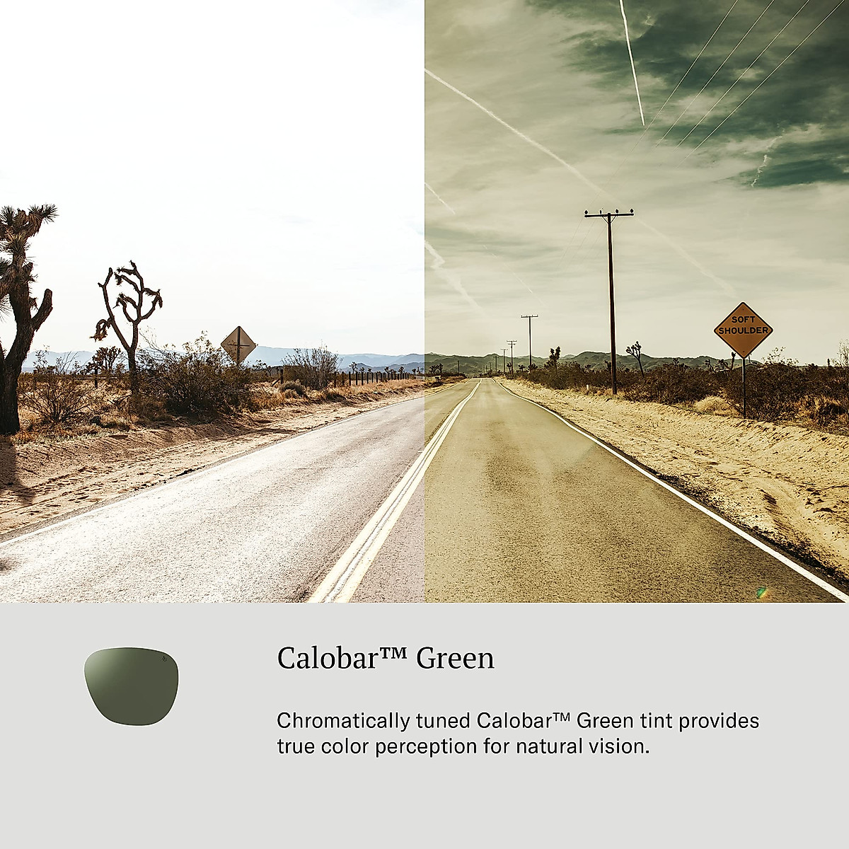 AO Tournament Sunglasses - Woodgrain - Calobar Green AOLite Nylon Lenses - 52-20-145