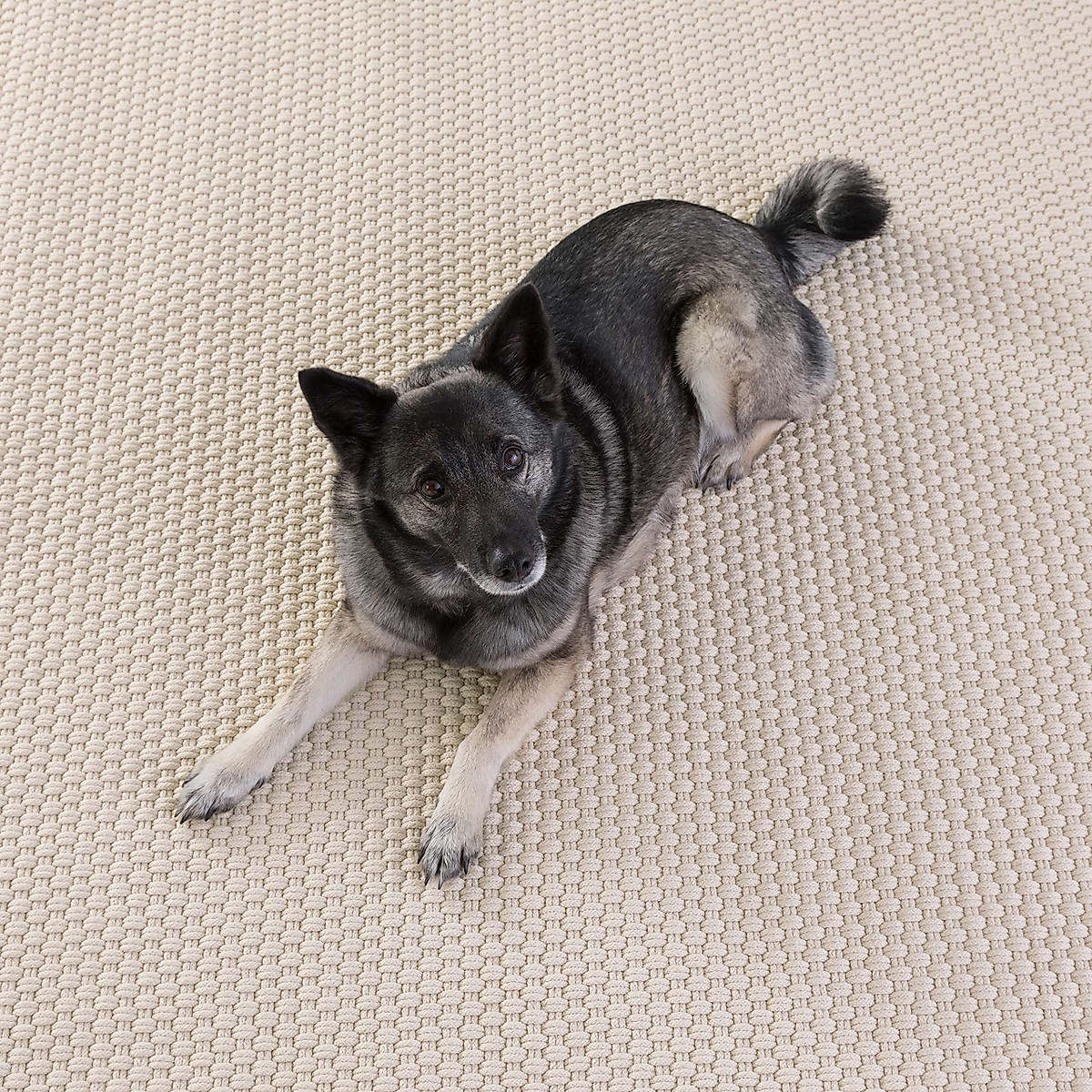 Dash and Albert Rope Indoor/Outdoor Area Rug - 2.5' x 12' Runner Ivory Solid Handwoven Accent Rug - Durable, Fade Resistant, Washable, High Traffic Friendly