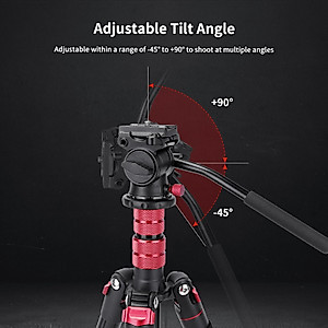 Avella Tripod Fluid Head Pan Tilt Head with Arca Type Quick Release Plate and Handle, Metal Panorama Head with Scaled Base for Compact Video Camera DSLR Camera, Load up to 6.6lb, V502