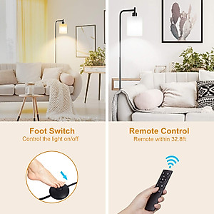 Industrial Floor Lamp,4 Color Tempratures Farmhouse Lamp with Remote & Foot Control, Rustic Standing Lamps with Hanging Jade Matte Glass Shade for Living Room,Bedrooms(9W Led Bulb Included),Black