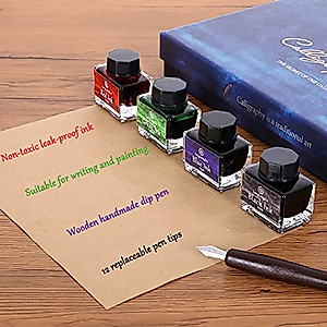 LongLongJin Calligraphy Set for Beginners-calligraphy Fountain Pen,2 Wooden Dip Pen, 12 Replaceable Stainless Steel Tips, 4 Bottles of of Ink,1pen Holder