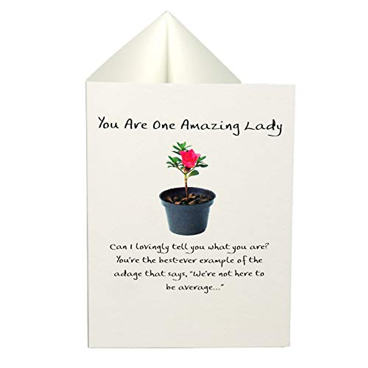 Blue Mountain Arts Greeting Card “You Are One Amazing Lady” is Perfect For a Mom, Daughter, Wife, Or Any Woman For Birthday, Anniversary, Mother’S Day, Or “Just Because,” by Douglas Pagels