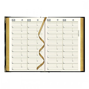 Brownline 2024 Executive Weekly Planner, Appointment Book, 12 Months, January to December, Sewn Binding, 8.187" x 5.625", Trilingual, Black (CBE507-24)