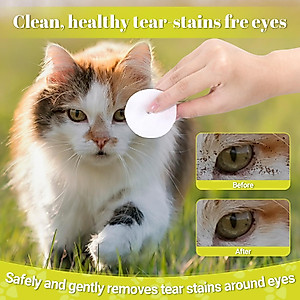 Treela 1200 Count Pet Eye Wipes for Dog, Cat, Horse and Rabbit Grooming, Dog Eye Wipes Soft Dog Tear Stain Remover Wipes for Gentle Eye Cleaning Care, No Irritate (Lavender)