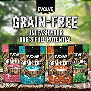 Evolve Grain Free Turkey, Pea, and Berry Jerky Bites Dog Treats
