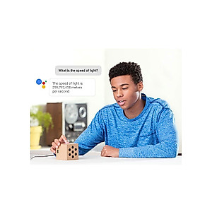 Google AIY Voice Kit