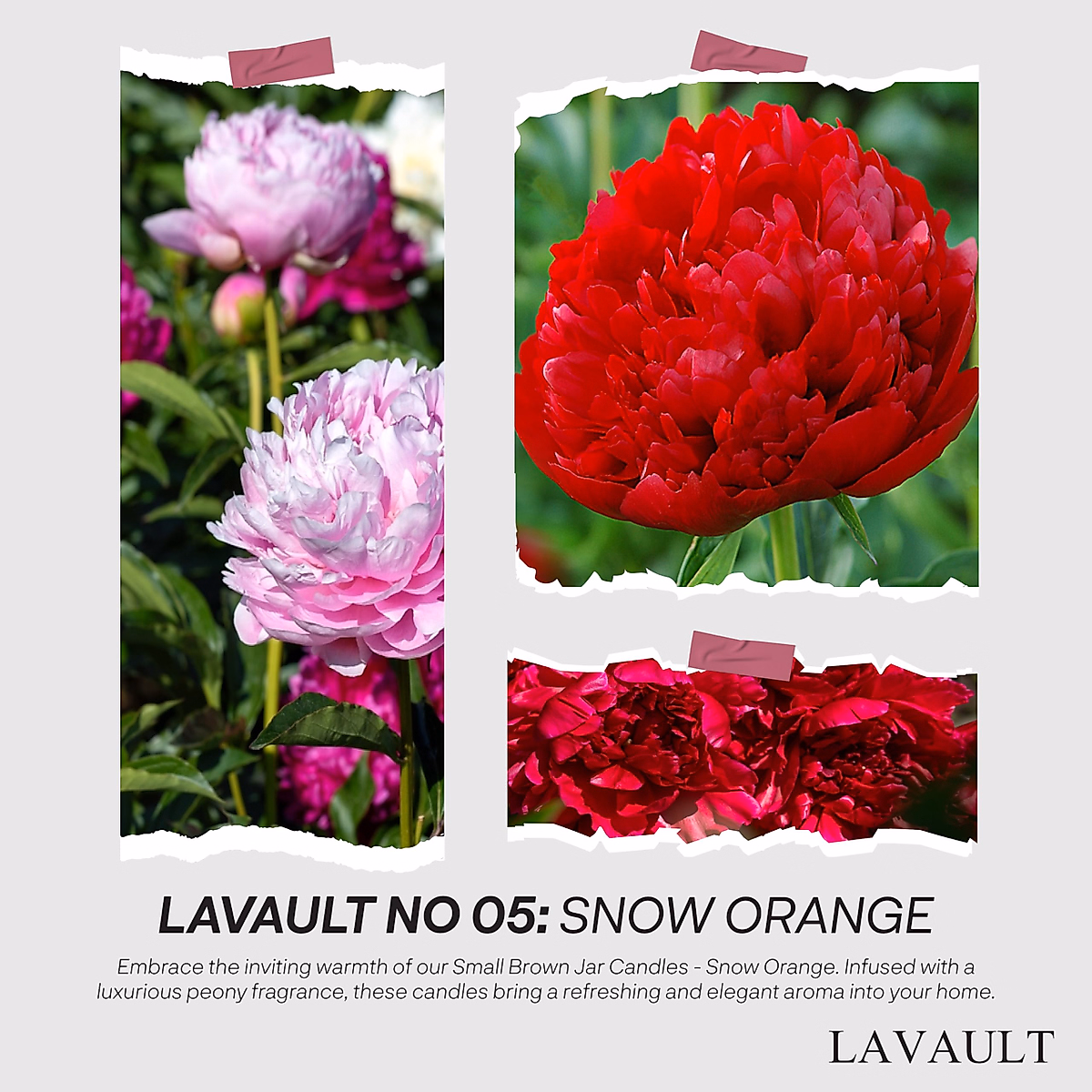 Lavault Jar Candles Set of 3 - Aromatherapy Candle Set for Supports Stress, Better Sleep, and Improve Mood - 100% Natural Soy Wax with Essential Oils - Snow Orange