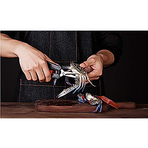 Criativo live Seafood Scissors, Lobster Scissors, Crab Scissors, Seafood Tools 4Pcs and Lobster Forks 4 Pcs