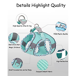 Petank Green Dog Harness (XS), No Pull, Puppy Harness and Leash Set, Jacquard Mesh, Easy Walk Dog Harness for Small Medium Dogs, Reflective Strip, Training, Running, Walking