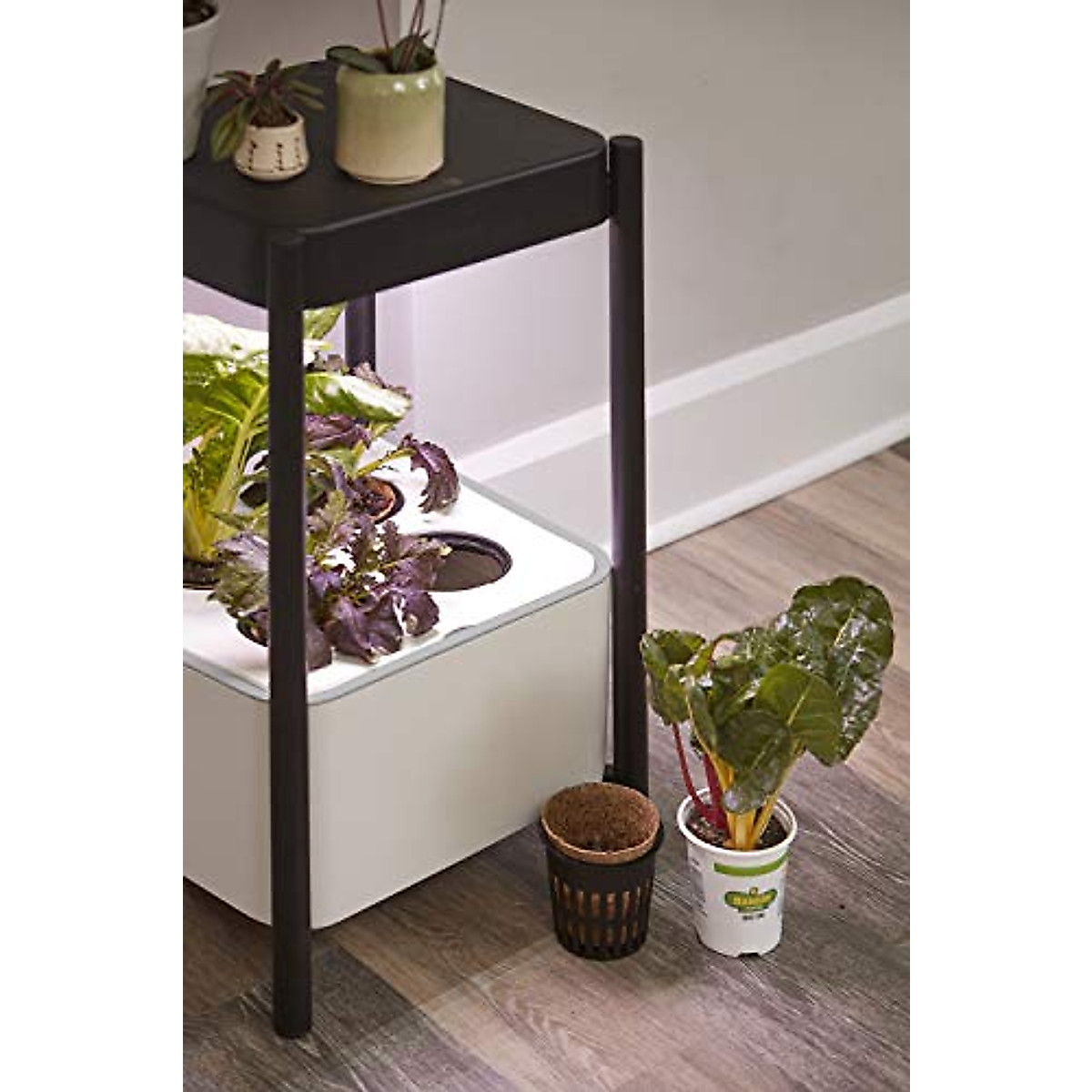 Miracle-Gro Twelve Transplanting Kit, Includes 4 Coir Liners and 4 Large Net Cups - Use Twelve Indoor Growing System - Designed for Growing Plants in Hydroponic Systems (Pack of 2)