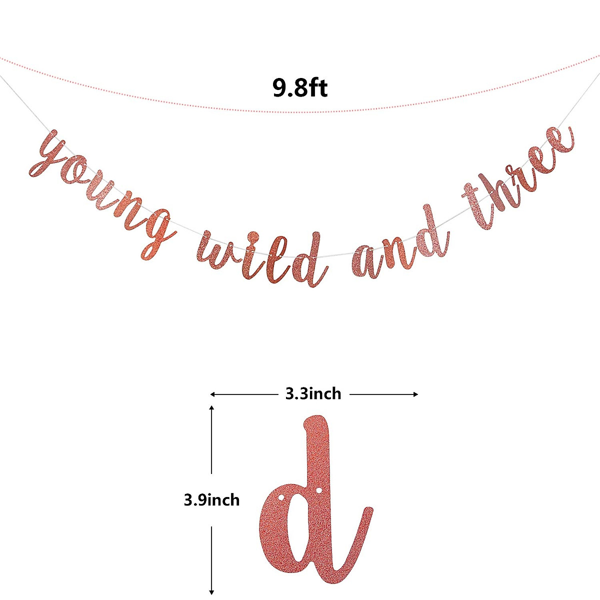 Rose Gold Glitter Young Wild and Three Banner - Happy 3rd Birthday Boy Girl Party Decorations - Great for Baby Shower Boho Tribal Themed 3rd Birthday Party Decor