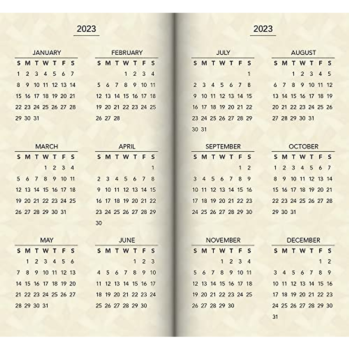 Tuscan Delight | 2023-2024 3.5 x 6.5 Inch Two Year Monthly Pocket Planner Calendar | Foil Stamped Cover | BrownTrout | Stationery Elegant Exclusive