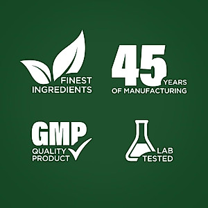 Piping Rock Panax Ginseng Capsules | 5000 mg | 120 Count | with Ginkgo Biloba | Vegetarian, Non-GMO, and Gluten Free Supplement