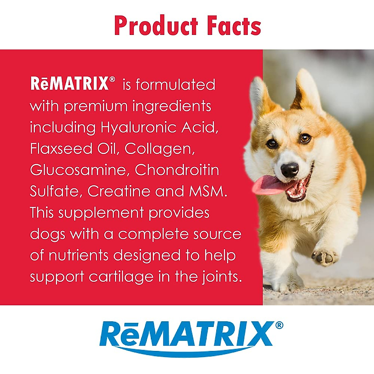 Pet Health Solutions PHS ReMATRIX Joint Support Supplement for Dogs - Glucosamine, Chondroitin, MSM, Omega-3 - Hip and Joint Pain Relief and Support for Dogs - Made in USA - 240 Soft Chews