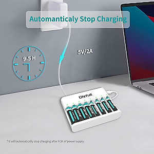 Dlyfull 8 Bay AA AAA Battery Charger with Type-C High-Speed Charging, Independent Slot for Ni-MH Ni-CD Rechargeable Batteries, Cable Included