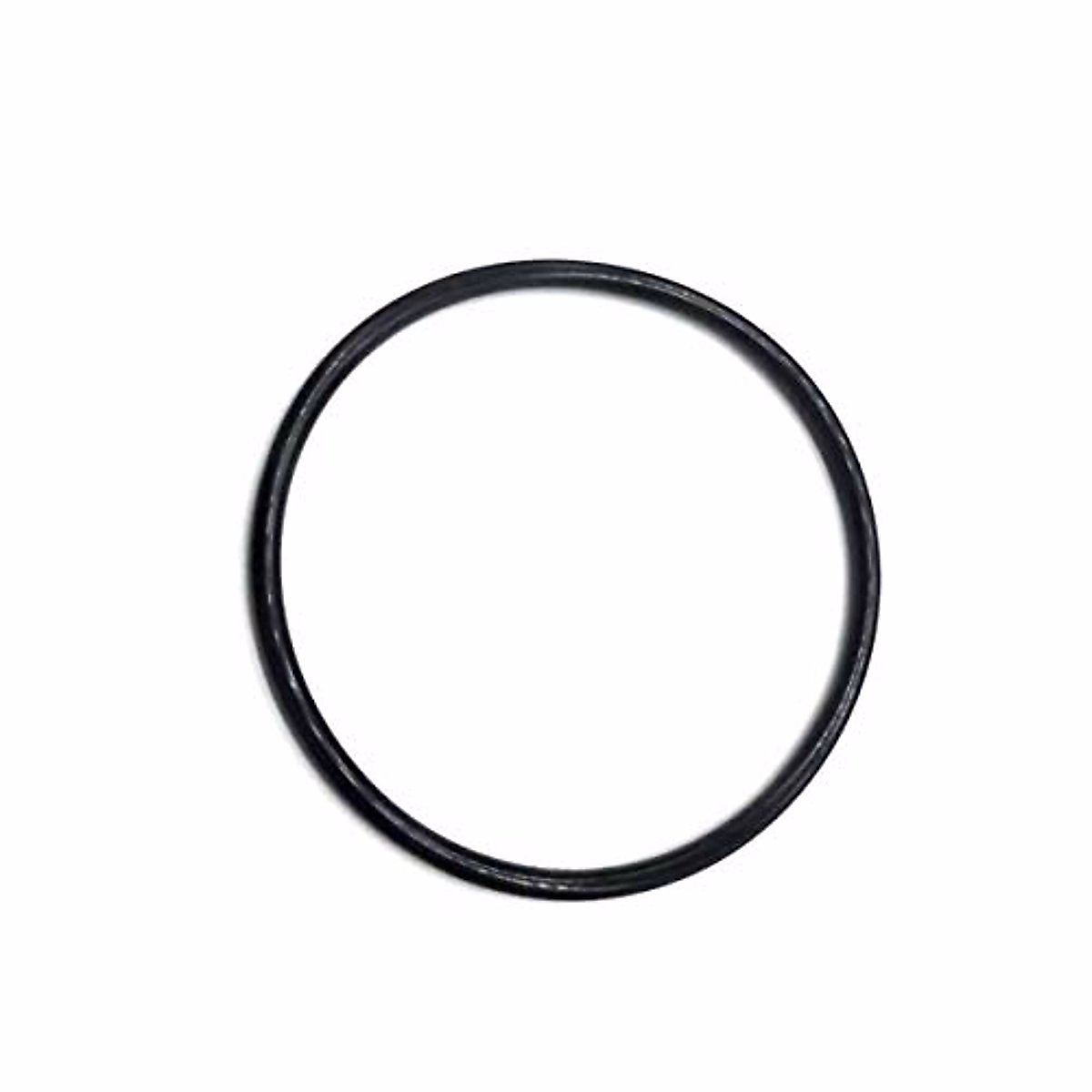 87300400 O-343 Body O-Ring for Pentair Pool & Spa Filter