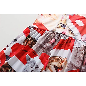 SSLR Womens Party Dress Printed A-Line Crewneck Sleeveless Ugly Christmas Dresses for Women (Large, White Red)