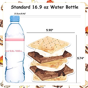 Fangleland S’more Banner Decorations - Everything Is S’more Fun with Friends Bonfire Camping Themed Garland Hanging Decors Birthday Gender Reveal Pregnancy Celebration Party Supplies