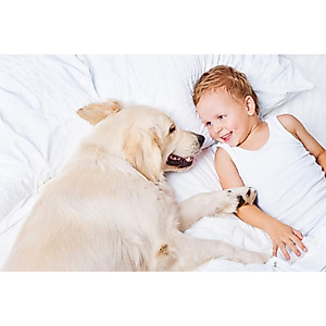 1000-Thread-Count 100% Pure Cotton Bed Sheets -4 Pc Queen Size Blush Sheet Set, Single Ply Long Staple Combed Cotton Yarns, Best Luxury Sateen Weave, Fits Mattress Upto 17'' Deep Pocket