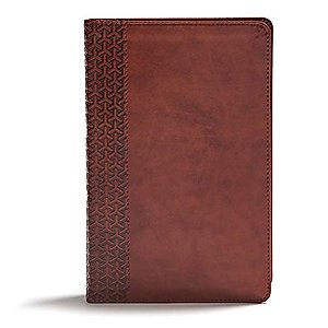 CSB Everyday Study Bible, British Tan LeatherTouch, Black Letter, Study Notes, Illustrations, Aricles, Easy-to-Carry, Easy-to-Read Bible Serif Type