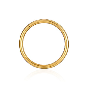 2 Pcs a Set G23 Titanium Steel Piercing-Ring Hinged Nose Rings Hoop Septum Clicker Ring Cartilage Tragus Piercing Diameter 6mm 8mm 10mm 12mm (Gold,G23 Titanium, 12mm)
