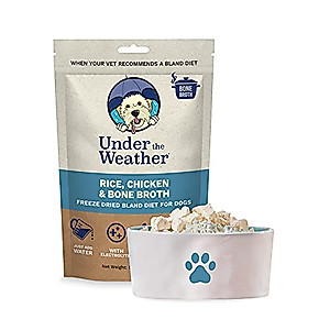 Under the Weather Bland Diet for Dogs | Easy to Digest for Sick Dogs |Always Be Ready| Contains Electrolytes - All Natural Freeze Dried 100% Human Grade Meats| 1 Pack- Chicken, Rice & Bone Broth - 6oz