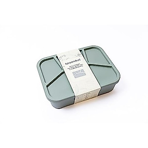 Spoondrift Eco-Friendly Leak Proof Silicone Bento Box Lunch Box, For Child And Adult, 4 Compartment, Choose from 6 Colors, Includes one box (Sage)