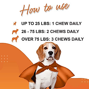 WONDER PAWS Daily Multivitamin Chews Plus Probiotic Superhero Chews - for Dogs Immune Support, Digestive Health, Gut Health & Overall Wellness - Daily Multi 60 Chews - Probiotic 90 Chews