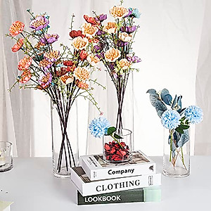 CnArtisan Glass Cylinder Vase, 16 Inch Tall X 4 Inch Wide, 6 Pieces, Perfect for Wedding Centerpieces and Home Decor, Suitable for Flowers, Floating Candles, Pillar Candles and Succulents