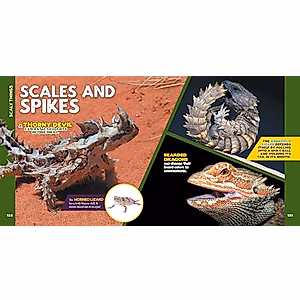 The Fascinating Facts Books for Kids 3 Book Box Set: 1,500 Incredible Facts about Animals, Oceans, and Science for Kids Ages 9-12