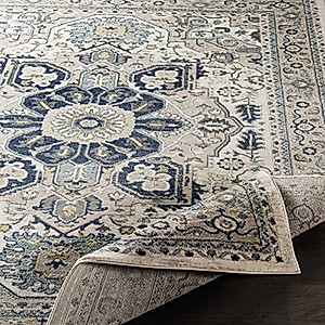 Canonsburg Traditional Persian Living Room Bedroom Area Rug - Bohemian Oriental Medallion Carpet - Blue, Grey, Beige, Brown - 7'10" x 10'2"