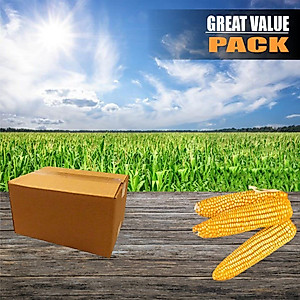 Old Potters Ear Corn for Animals - Approx. 13 lbs - Grown in USA Feed for Backyard Animals, Great for Squirrels, Deer, Rabbits, and Other Wildlife, 24-30 Count.