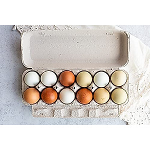 Blank 12-Egg Flat Top Paper Pulp Carton - Bulk Egg Cartons (50)