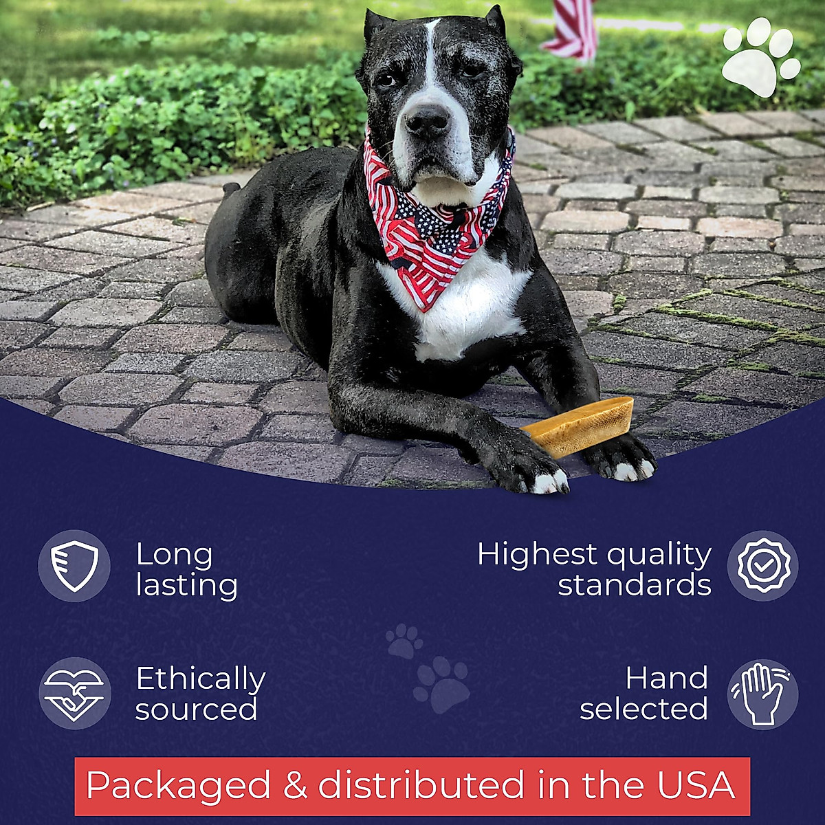 Devil Dog Pet Co. Himalayan Yak Chews, Yak Cheese Dog Chews, 100% Natural & Healthy, Lactose Free, Long Lasting, Yak Chew Treats – Premium Yak Milk Dog Chew, Yak Bones for Dogs | Beast - 3 Pack