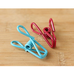 WOIWO 30Pcs Multi-Purpose Stainless Steel Wire Clips Pins Hanging Clips Hooks Assorted Colors