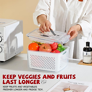 3 PCS Fruit Storage Containers for Fridge with Removable Colander | BPA Free Airtight Food Storage Containers with Lids & Handle | Keep Produce Refresh Longer | Small & M Size - Totally 22 cup
